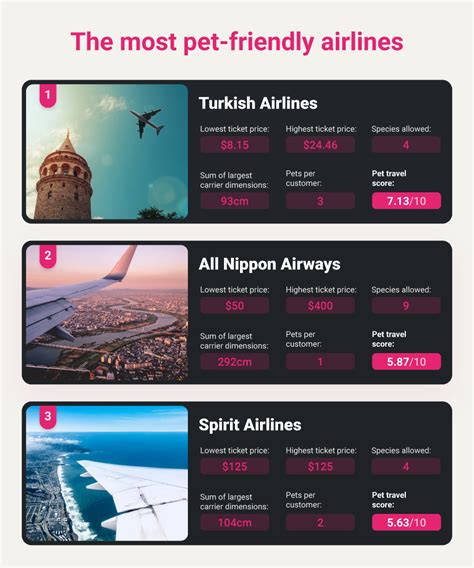The Most Pet Friendly Airlines When Traveling Abroad