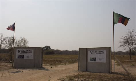 Cattle Reproduction Ai Info Day Zamfarm
