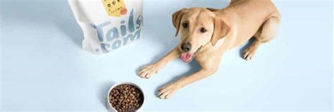 Descubre el secreto de por qué los gatos aman la comida seca Tails