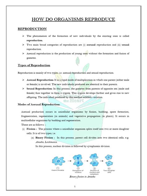 How Do Organisms Reproduce Pdf Flowers Sexual Reproduction