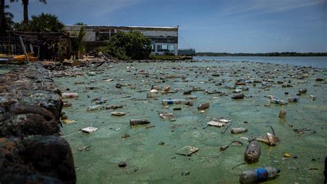 Contaminación Y Bacterias Convierten Al Lago Maracaibo En Venezuela En