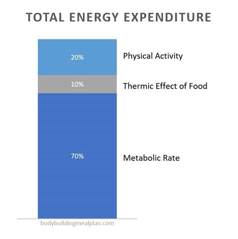 Thermic Effect Of Food How To Easily Burn 5 10 More Calories