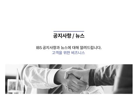 Ibs Consulting