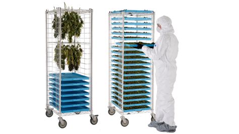 Cannabis And Hemp Storage System Racks Trays Drying Trimming And Curing