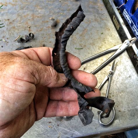 A Juniper And Some Severe Bending Adams Art And Bonsai Blog