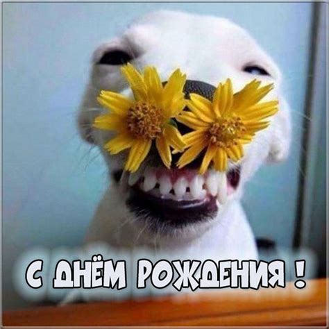 Красивые открытки с днем рождения ЖЕНЩИНЕ с веселыми надписями и