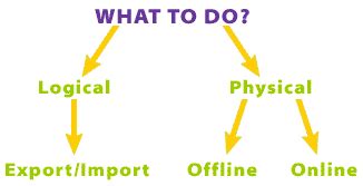 Physical Logical Backups Oracle