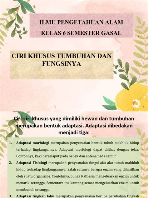 Ciri Khusus Tumbuhan Dan Fungsinya Hot Sex Picture Vrogue