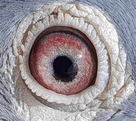 Lot 8 22 Za Kwu M 320 C Ganus Triple J Lofts Vandenabeele Van De Pasch Gavin Rous