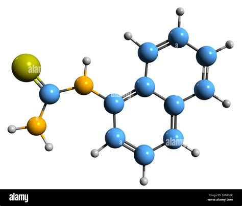 3d Image Of Alpha Naphthylthiourea Skeletal Formula Molecular Chemical Structure Of