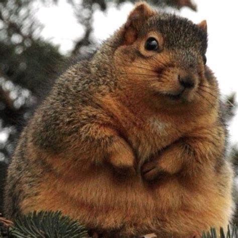 Pin On Randomness That I Just Like