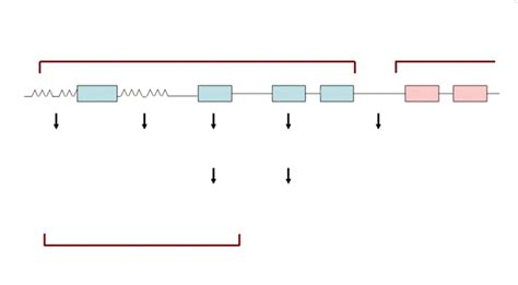Classification Of Snp By Location 3 Download Scientific Diagram