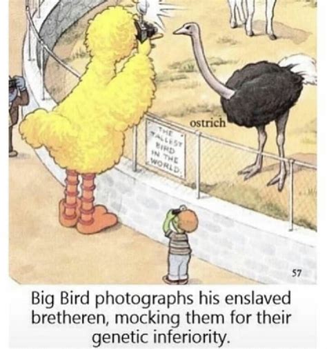 Thanks I Hate Big Bird Rtihi
