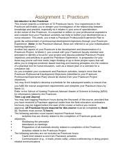 Guide To Creating A Practicum Professional Experience Plan Course Hero