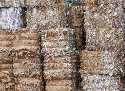 The Carbon Footprint Of Paper Decomposition The Happy Turtle Straw