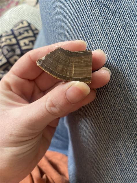 Is This Fossilised Wood Rfossils