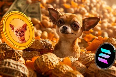 Bonk And Wif See Gains As New Solana Meme Coin Generates Bullish Forecasts