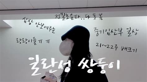 Ep66 3주만에 업로드 하는 일란성 쌍둥이 임신 근황21~22주차 Youtube