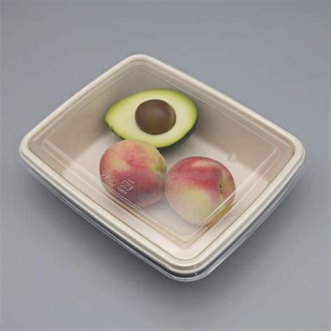 China Disposable Biodegradable Bagasse Pulp Roast Meat Box For Food