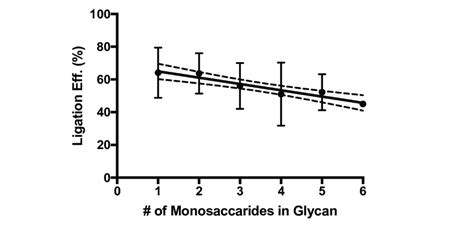 63 Ligation Efficiency Decreases With Increasing Glycan Download