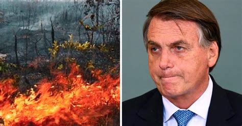 Jair Bolsonaro Llama A Destrucción De Amazonía “la Misma Bobada” Pero