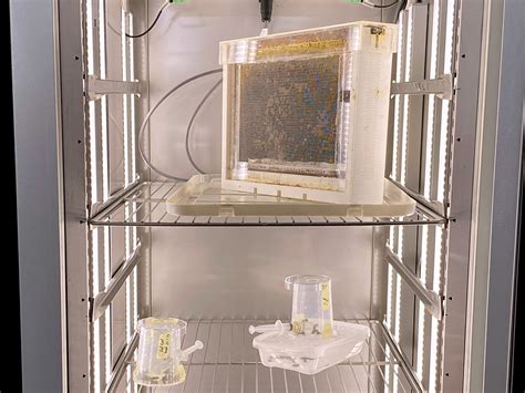 Microbiomas De Abelhas Aralab