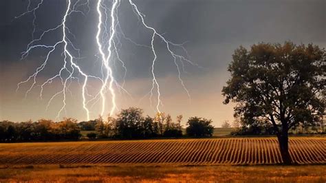 Lightning Strikes Kill 6 Farmers Including 5 Women In Telangana