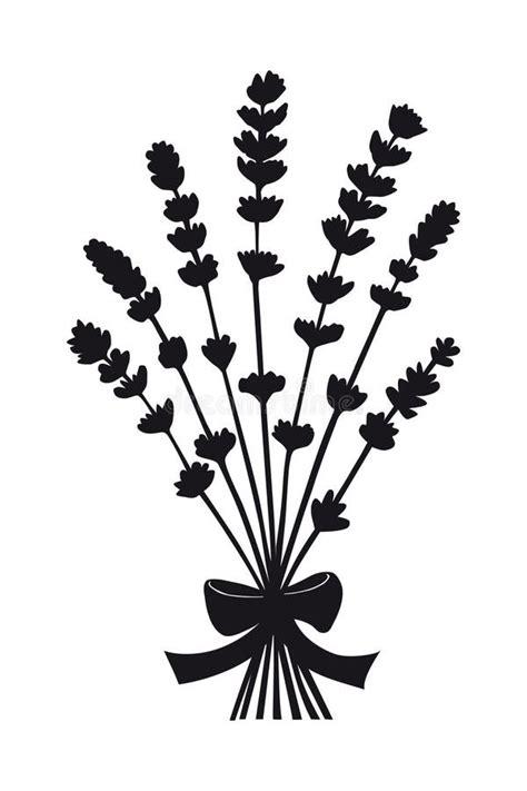 Bunch Of Lavender Flowers With Bow Black Outlines Stock Vector