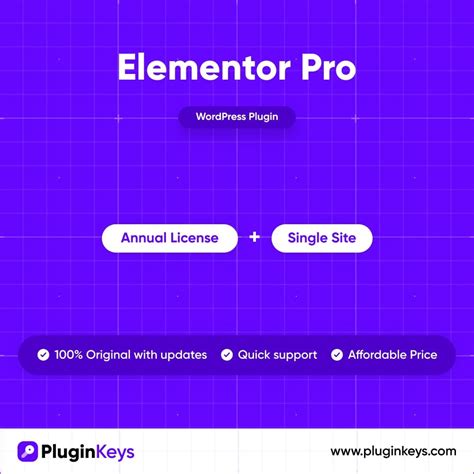Elementor Pro Original Annual License Key With Auto Updates