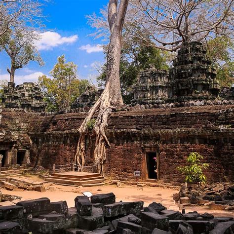 Ta Prohm Cambodia The Famous Jungle Temple Julias Album