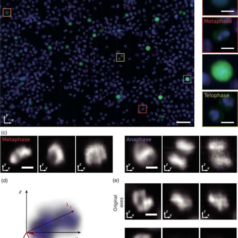 schematic of high throughput parallel optofluidic 3d ifcm a image