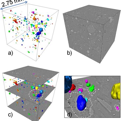 Synchrotron‐sourced X‐ray Microtomography With A Voxel Dimension Of Download Scientific Diagram