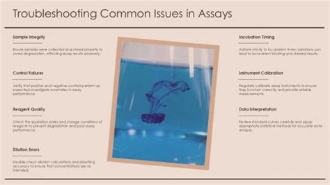 Troubleshooting Common Issues In Assays Radioimmunoassay PPT Template ST AI SS PPT Slide