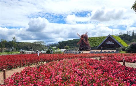 Đà Lạt Du Lịch Những Làng Hoa