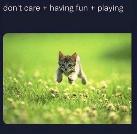 30 Funniest And Most Pawsitive Cat Memes Of The Week For People Who Are