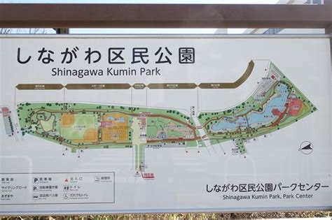 しながわ区民公園へのアクセス方法と駐車場開園時間は 歩いてみたブログ