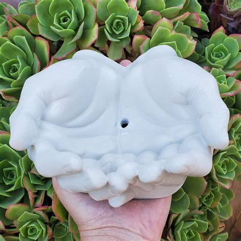 Cupped Hands Cement Planter Rooted In Paradise Succulent Studio