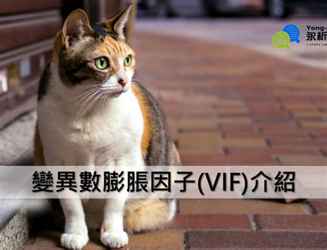 Python Anaconda安裝教學windows 永析統計 永析統計及論文諮詢顧問