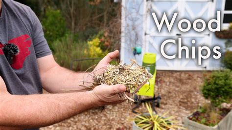 Why To Make Your Own Wood Chips Youtube