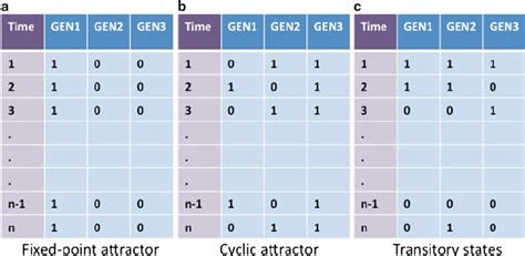 Fixed Point Attractors Cyclic Attractors And Transitory States A Download Scientific