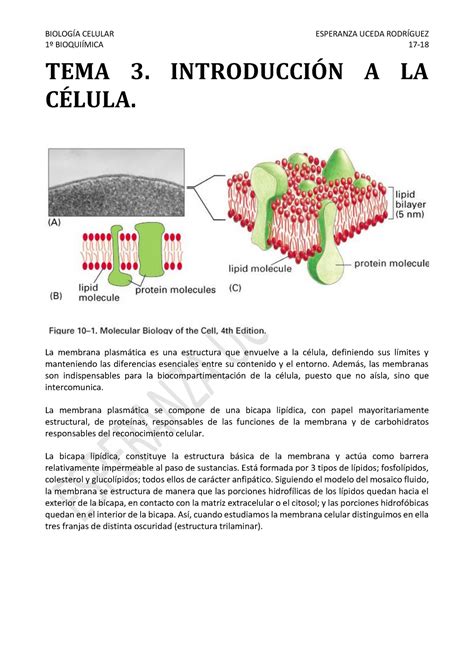 Tema 3 Apuntes 3 Warning Tt Undefined Function 32 Warning Tt