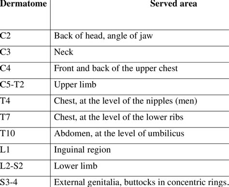Sensory Dermatomes Of The Body Download Scientific Diagram