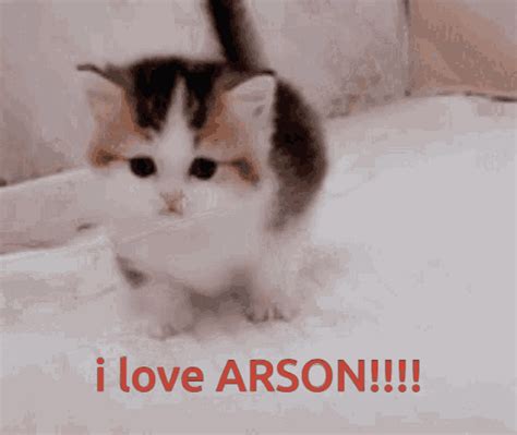 Kiwi Discord Arson  Kiwi Discord Arson Fall  များ ရှာဖွေရန်န