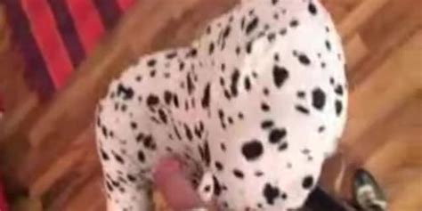 Zentai Search Tnaflix Com Page