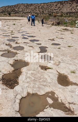 Dinosaur Tracks Beside The Purgatoire River Picketwire Canyonlands
