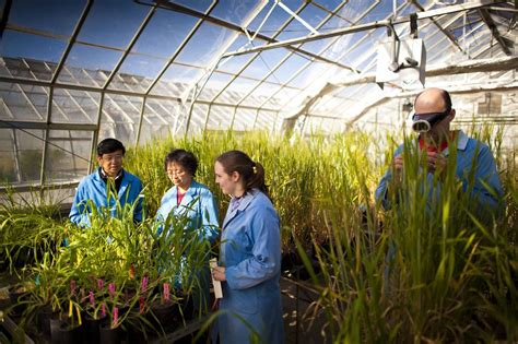 Csiro On Linkedin Csiro Industry Phd Program Student Webinar 2024