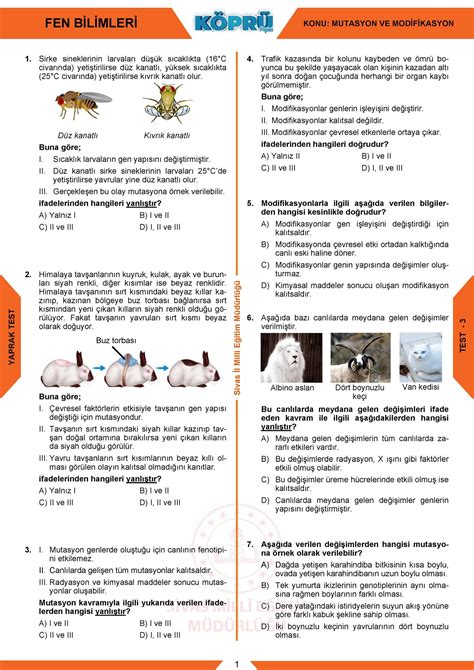 2Ünİte Dna Ve Genetİk Kod Mutasyon Ve Modİfİkasyon Test 1 2 3 Hadi