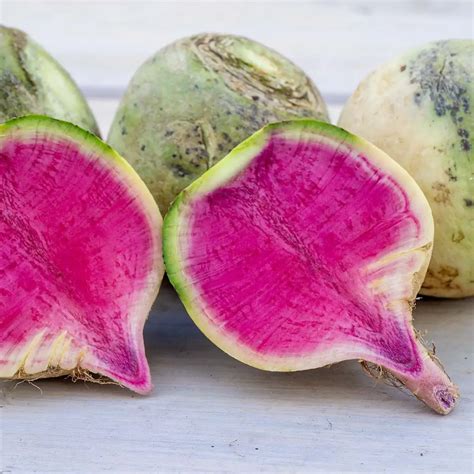 Rettich Red Meat Samen Distelwerk