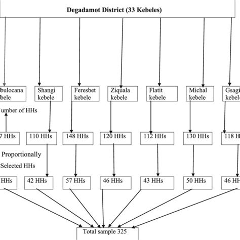 Schematic Presentation Of The Sampling Procedure Download Scientific Diagram