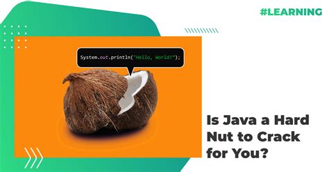 Is Java A Hard Nut To Crack For You